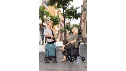 Carlett 800 - Rollator - Caddy de course Gris réf LETT800-63g